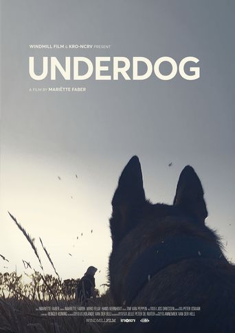 Underdog (2022): Where to Watch and Stream Online | Reelgood