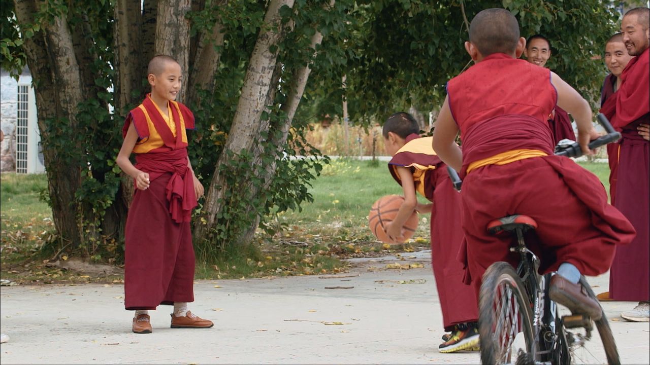 Inside Tibet (2024): Where to Watch and Stream Online | Reelgood