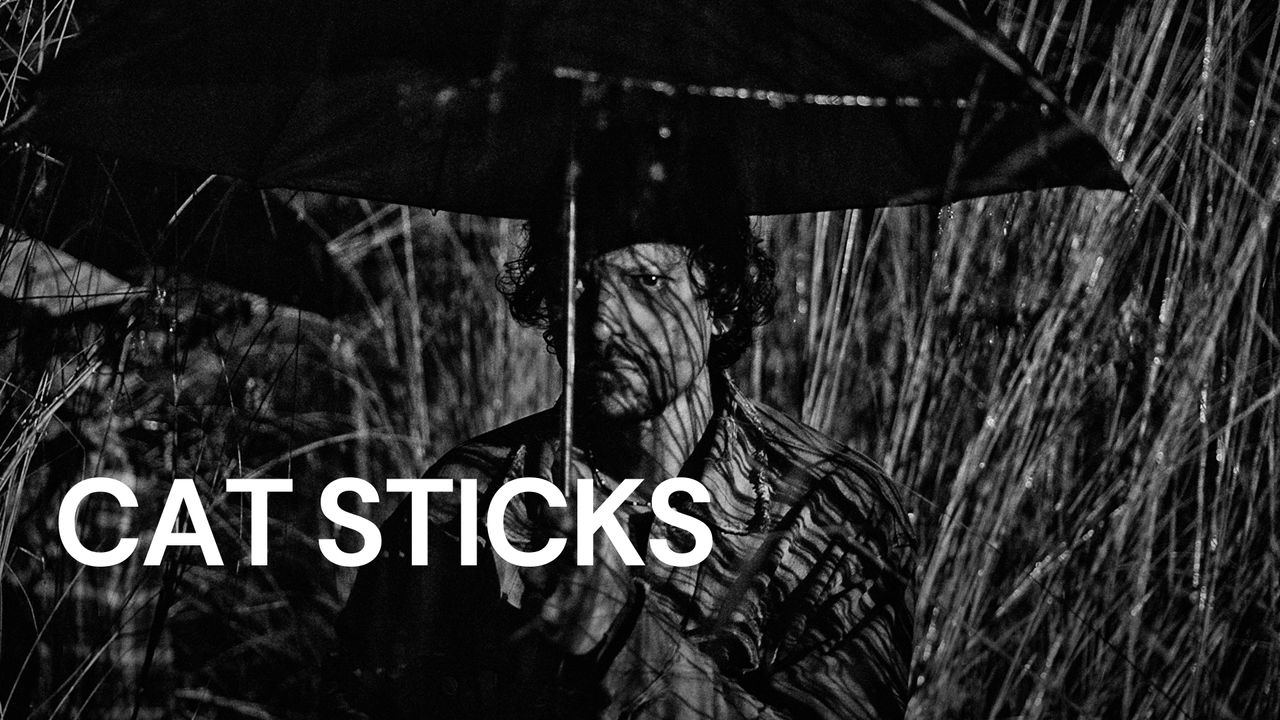 Cat Sticks (2019): Where to Watch and Stream Online | Reelgood