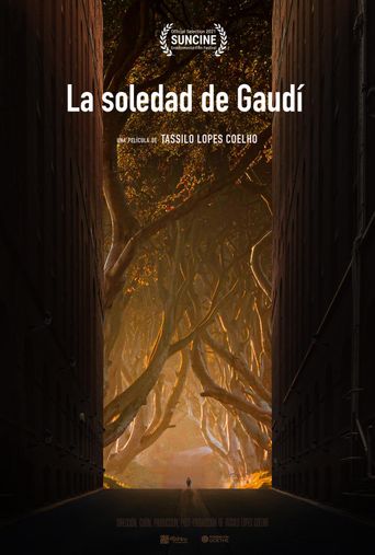 La soledad de Gaudí: Where to Watch and Stream Online | Reelgood