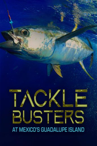 Tackle Busters at Mexico's Guadalupe Island (2020): Where to Watch and ...