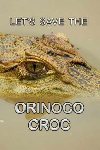 Let's Save the Orinoco Croc (2010): Where to Watch and Stream Online ...