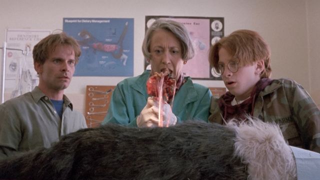 Ticks (1993): Where to Watch and Stream Online | Reelgood