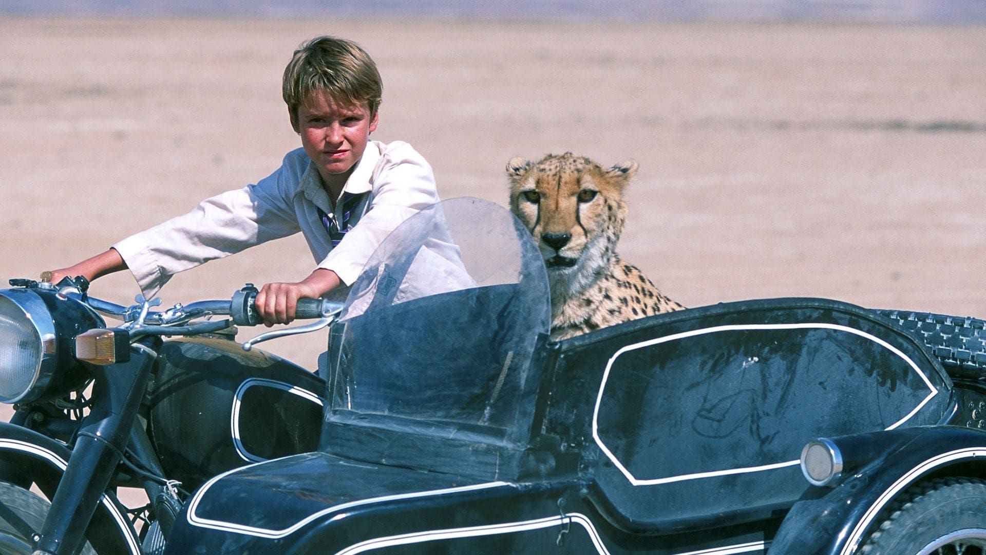 Duma (2005) - Watch on Hoopla or Streaming Online | Reelgood