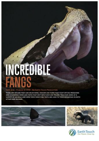 Incredible Fangs: Where to Watch and Stream Online | Reelgood