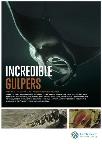 Incredible Gulpers: Where to Watch and Stream Online | Reelgood