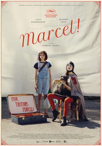 Marcel! (2022): Where to Watch and Stream Online | Reelgood