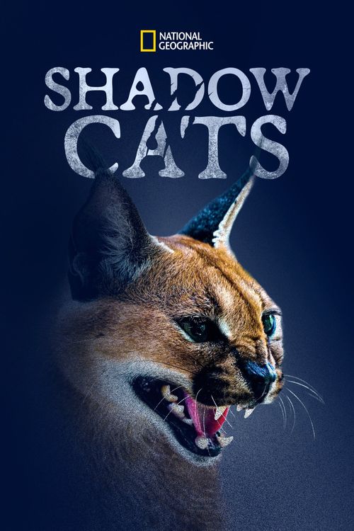 Shadow Cats: Where to Watch and Stream Online | Reelgood