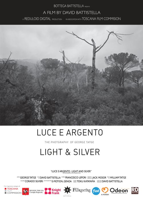 Light and Silver: The Photographic Life of George Tatge: User Lists ...