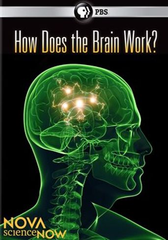 NOVA scienceNOW: How Does The Brain Work?: Where to Watch and Stream ...