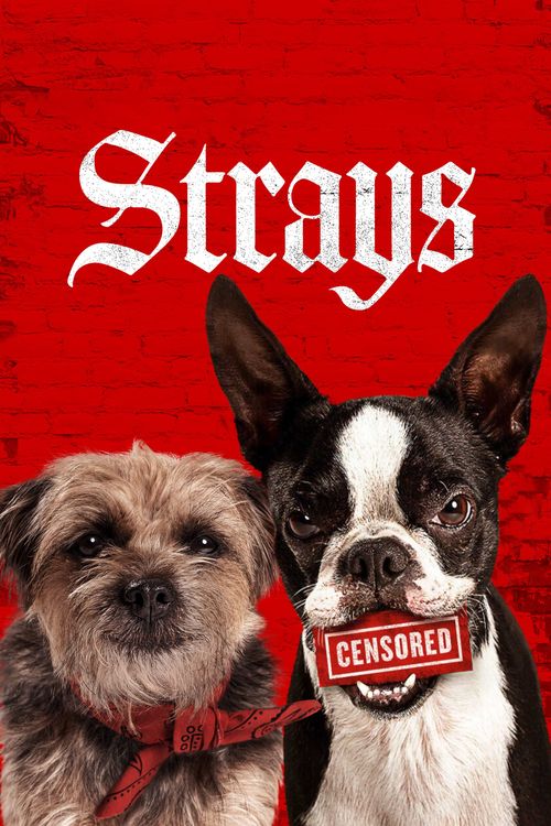 Strays (2023): Where to Watch and Stream Online | Reelgood