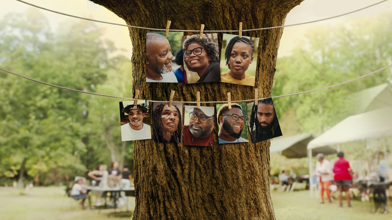 Family Tree: Where to Watch and Stream Online | Reelgood