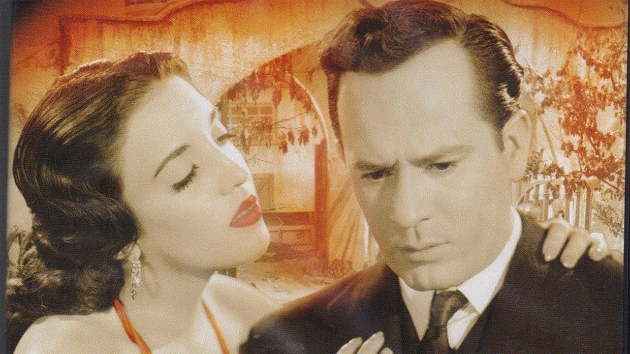 The Seminarian (2011): Where to Watch and Stream Online | Reelgood