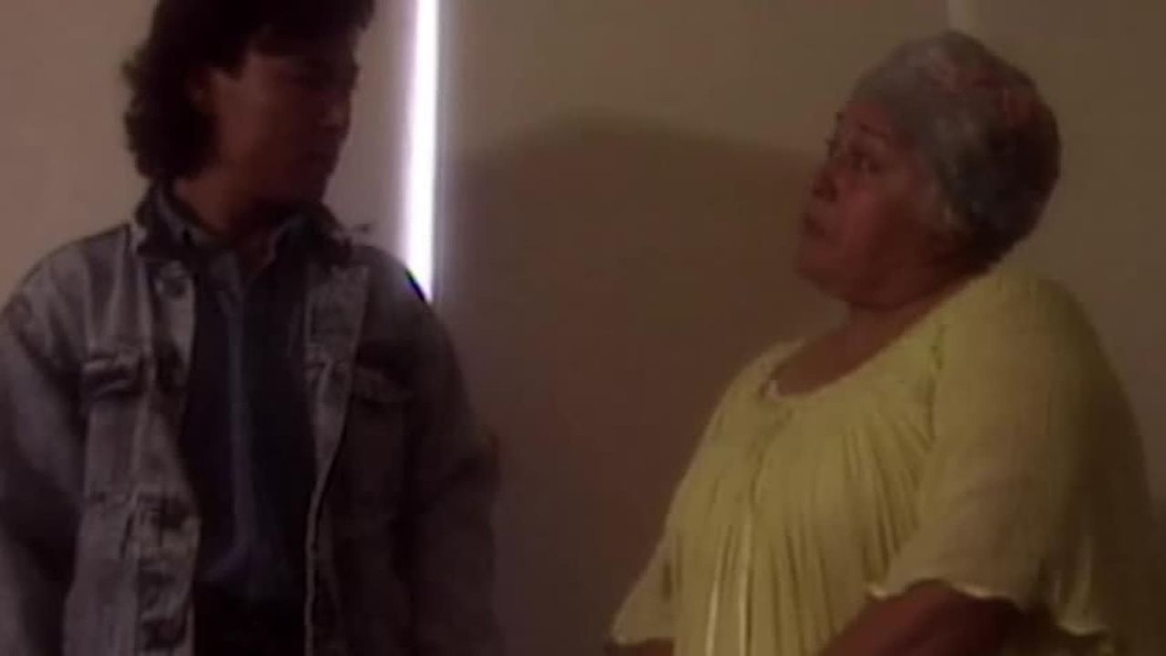 The Final Showdown (1993): Where to Watch and Stream Online | Reelgood