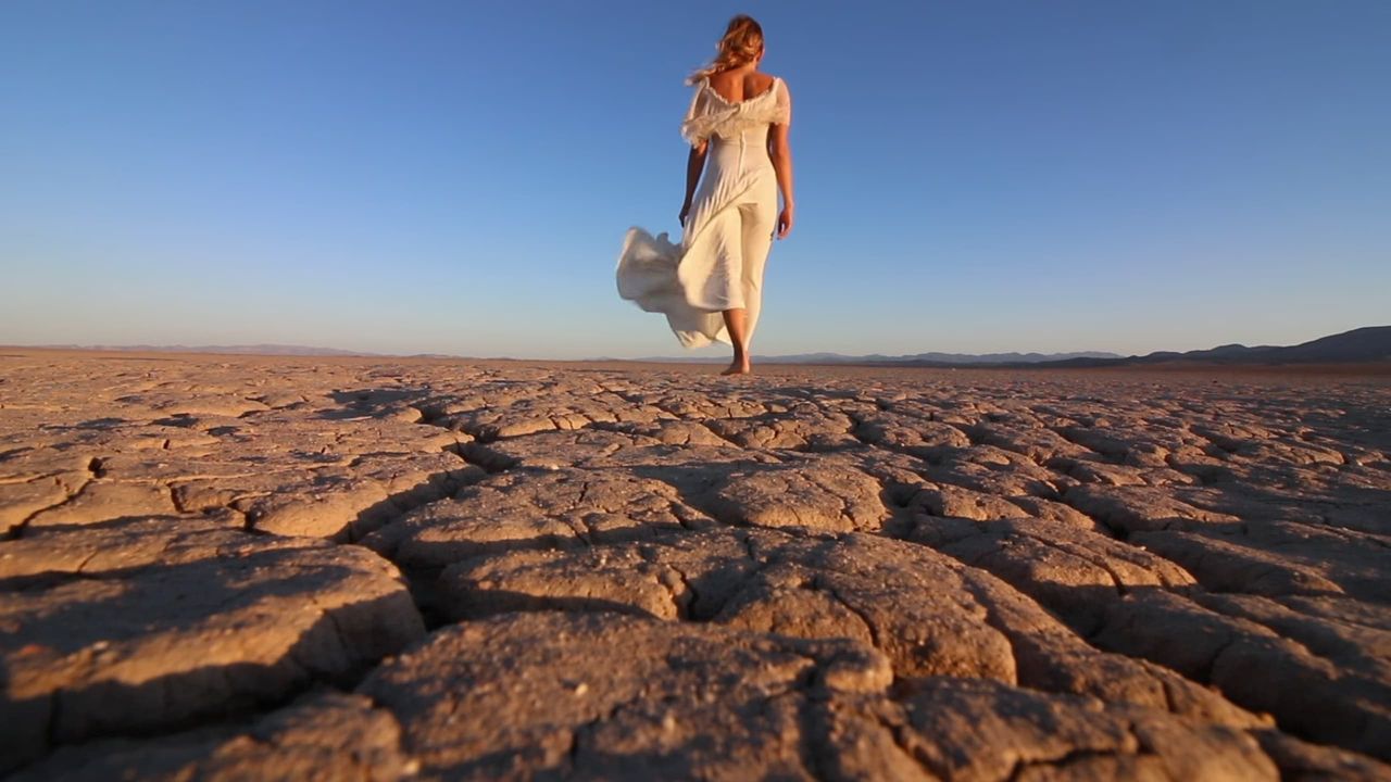 The Outwaters (2023): Where to Watch and Stream Online | Reelgood