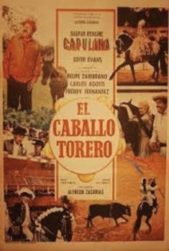 El caballo torero (1973): Where to Watch and Stream Online | Reelgood