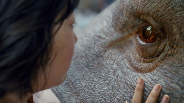 Okja (2017): Where to Watch and Stream Online | Reelgood