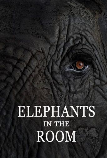 Elephants in the Room (2013): Where to Watch and Stream Online | Reelgood