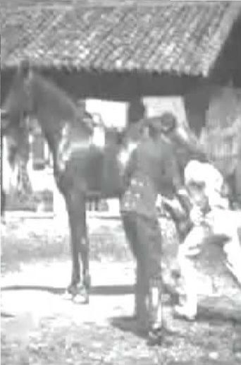 Trick Riding (1895): Where to Watch and Stream Online | Reelgood