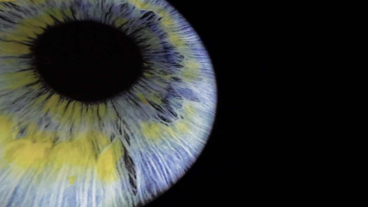 Blind Vision (2023): Where to Watch and Stream Online | Reelgood