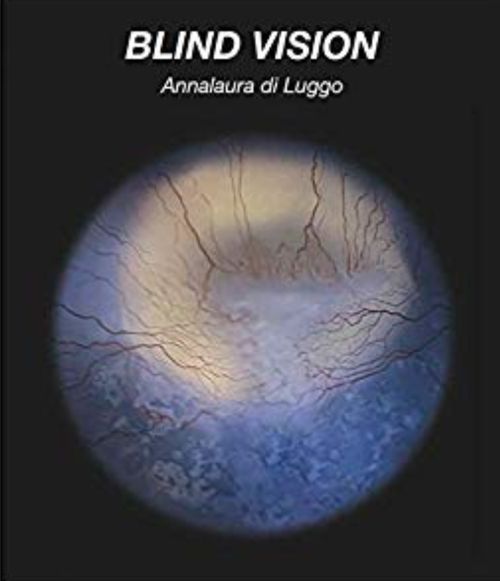 Blind Vision (2023): Where to Watch and Stream Online | Reelgood