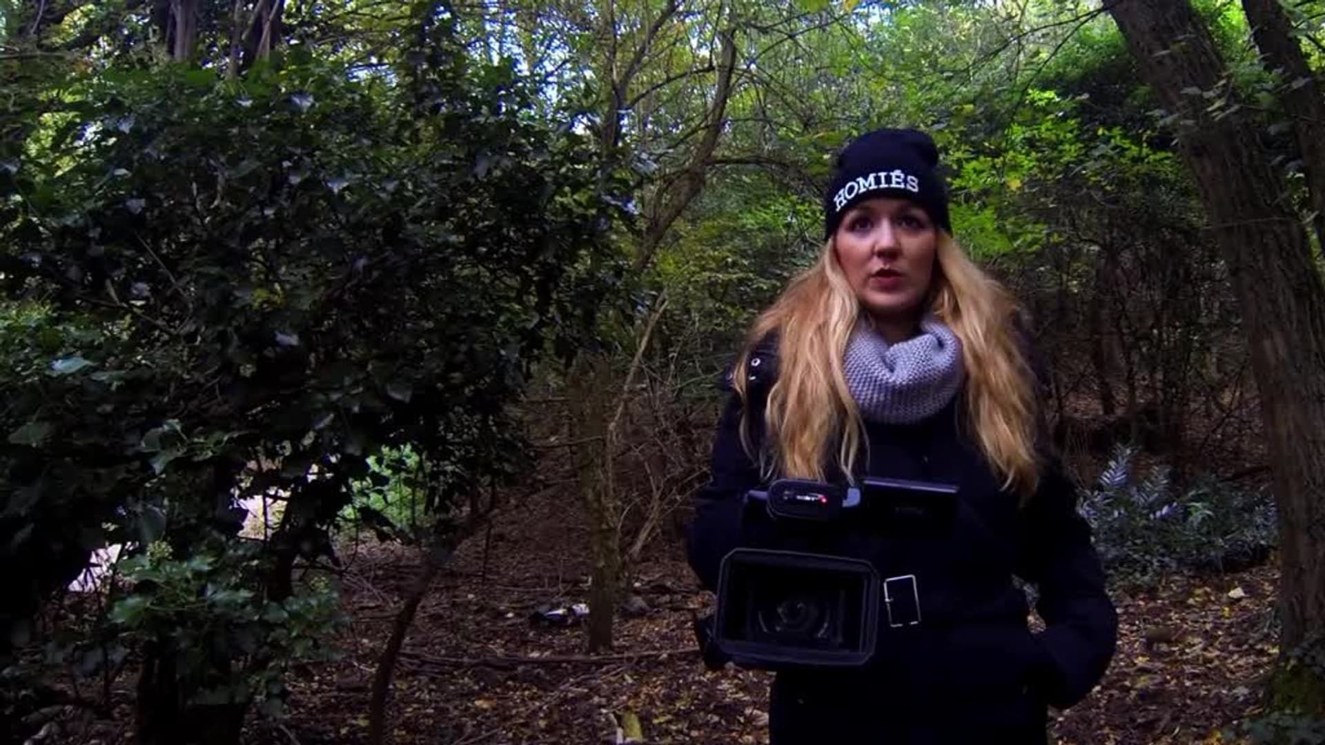 Raw 3: The Revelation of Grete Müller (2015) - Watch on Plex or ...