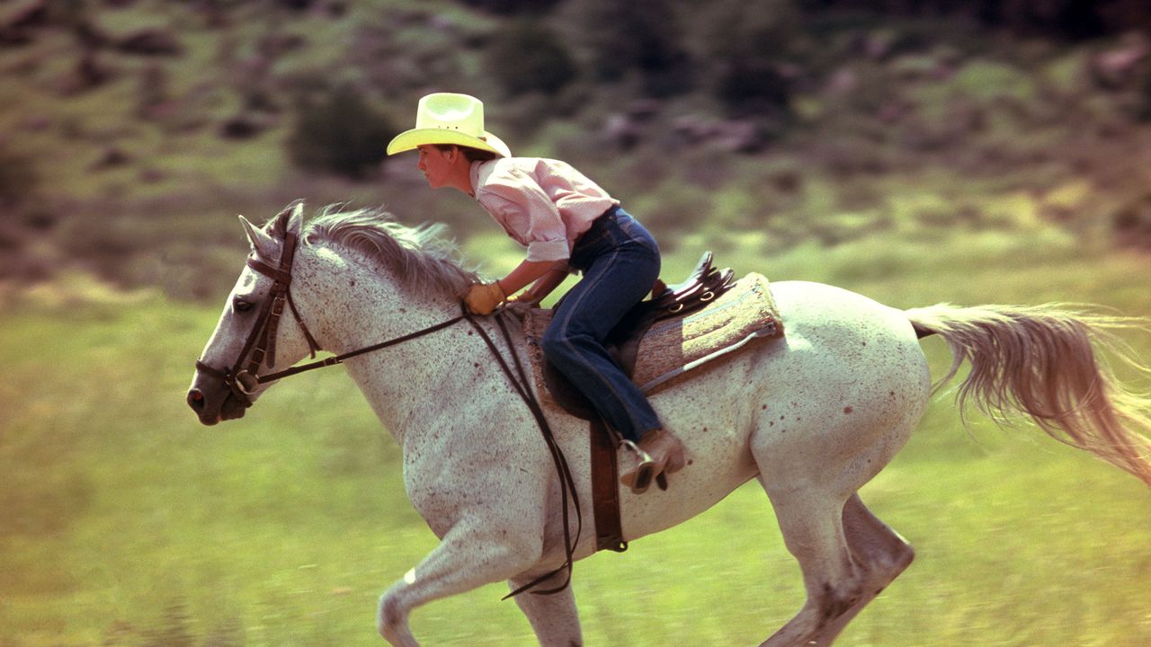 Sylvester (1985): Where to Watch and Stream Online | Reelgood