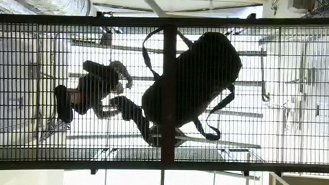 War Is Not a Game: Where to Watch and Stream Online | Reelgood