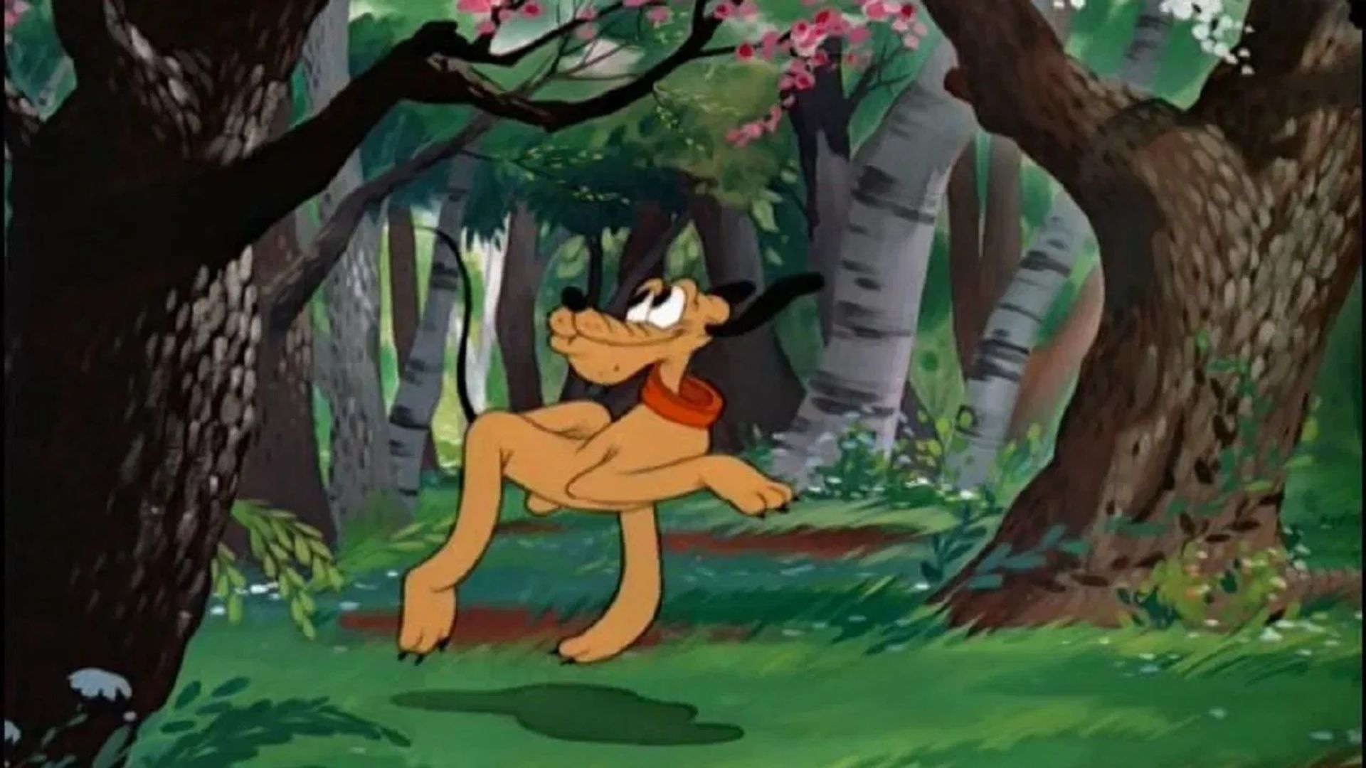 Springtime for Pluto (1944) - Where to Watch It Streaming Online | Reelgood