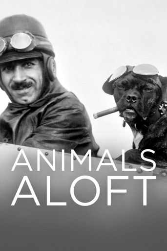 Animals Aloft (2009): Where to Watch and Stream Online | Reelgood
