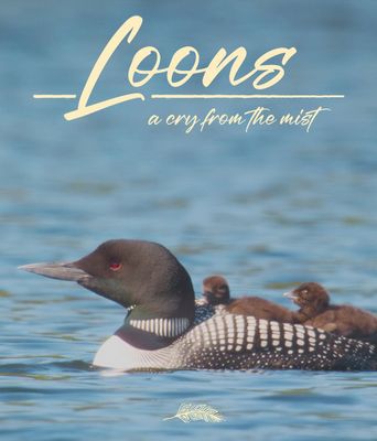 Loons: A Cry from the Mist (2022): Where to Watch and Stream Online ...