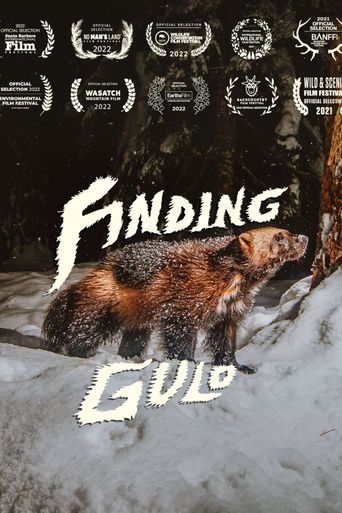 Finding Gulo (2022): Where to Watch and Stream Online | Reelgood