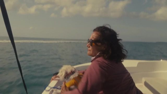 Mud Key (2024): Where to Watch and Stream Online | Reelgood