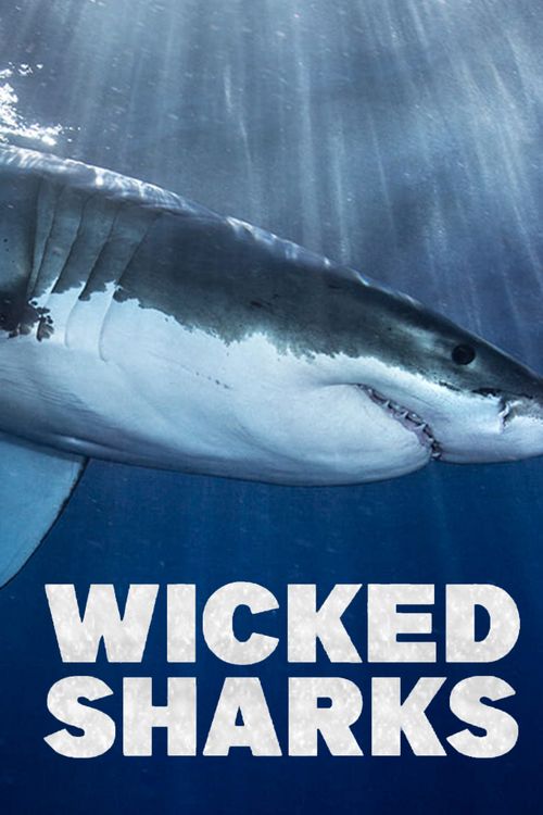 Wicked Sharks (2020): Where to Watch and Stream Online | Reelgood