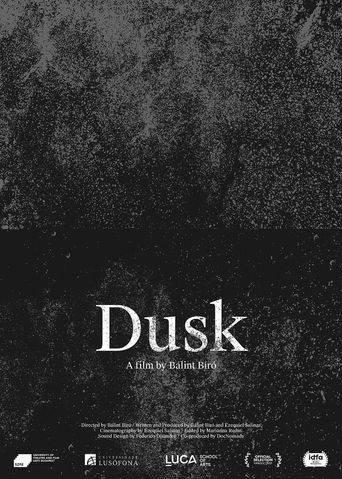 Dusk: Where to Watch and Stream Online | Reelgood