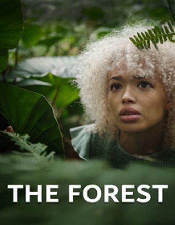 The Forest: Where to Watch and Stream Online | Reelgood