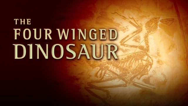 The Four-Winged Dinosaur (2008): Where to Watch and Stream Online ...