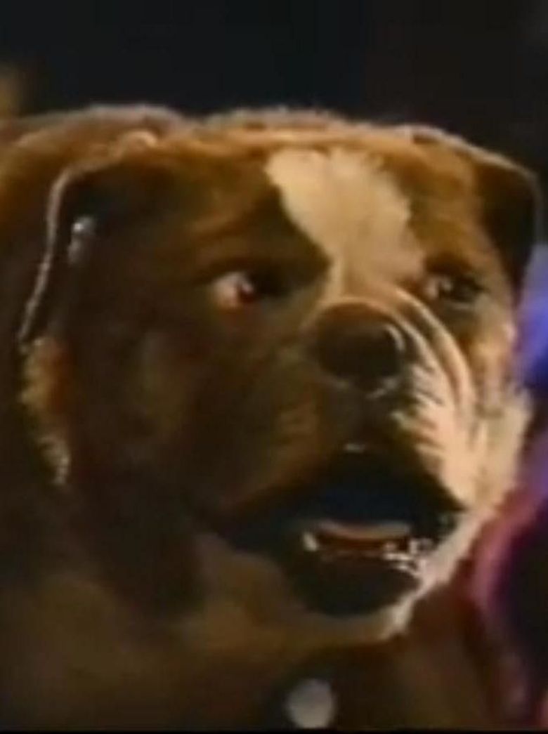 Poochinski (1990) - Where to Watch It Streaming Online | Reelgood