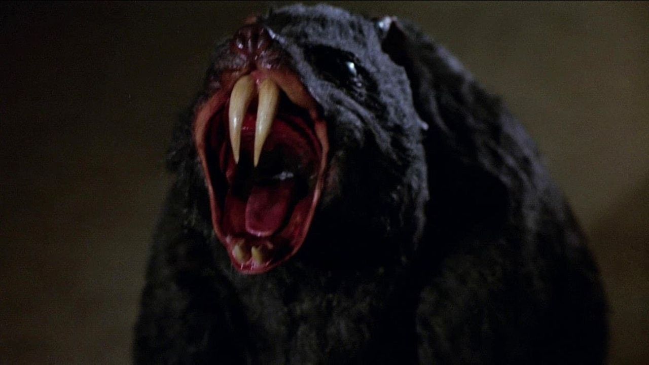 Deadly Eyes (1982): Where to Watch and Stream Online | Reelgood