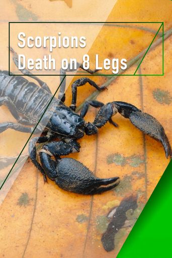 Scorpions - Death on 8 Legs (2018): Where to Watch and Stream Online ...