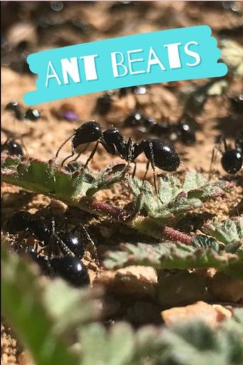 Ant Beats (2023): Where to Watch and Stream Online | Reelgood
