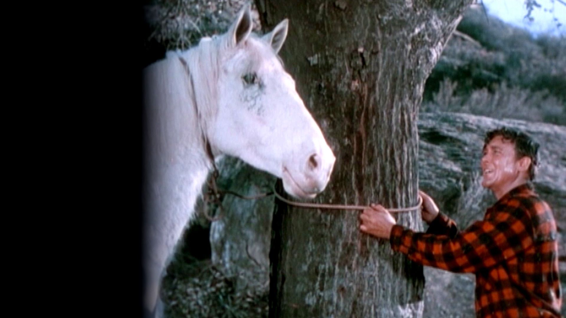 Wild Stallion (1952) - Watch on Philo or Streaming Online | Reelgood
