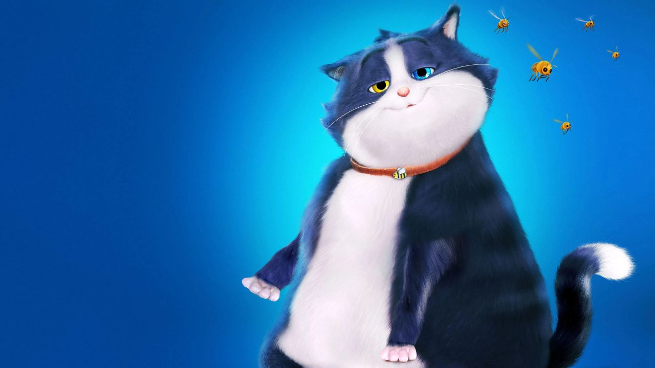 10 Lives (2024): Where to Watch and Stream Online | Reelgood