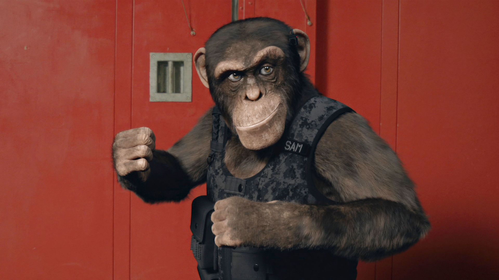 C.I.Ape (2022) - Watch on The Roku Channel or Streaming Online | Reelgood