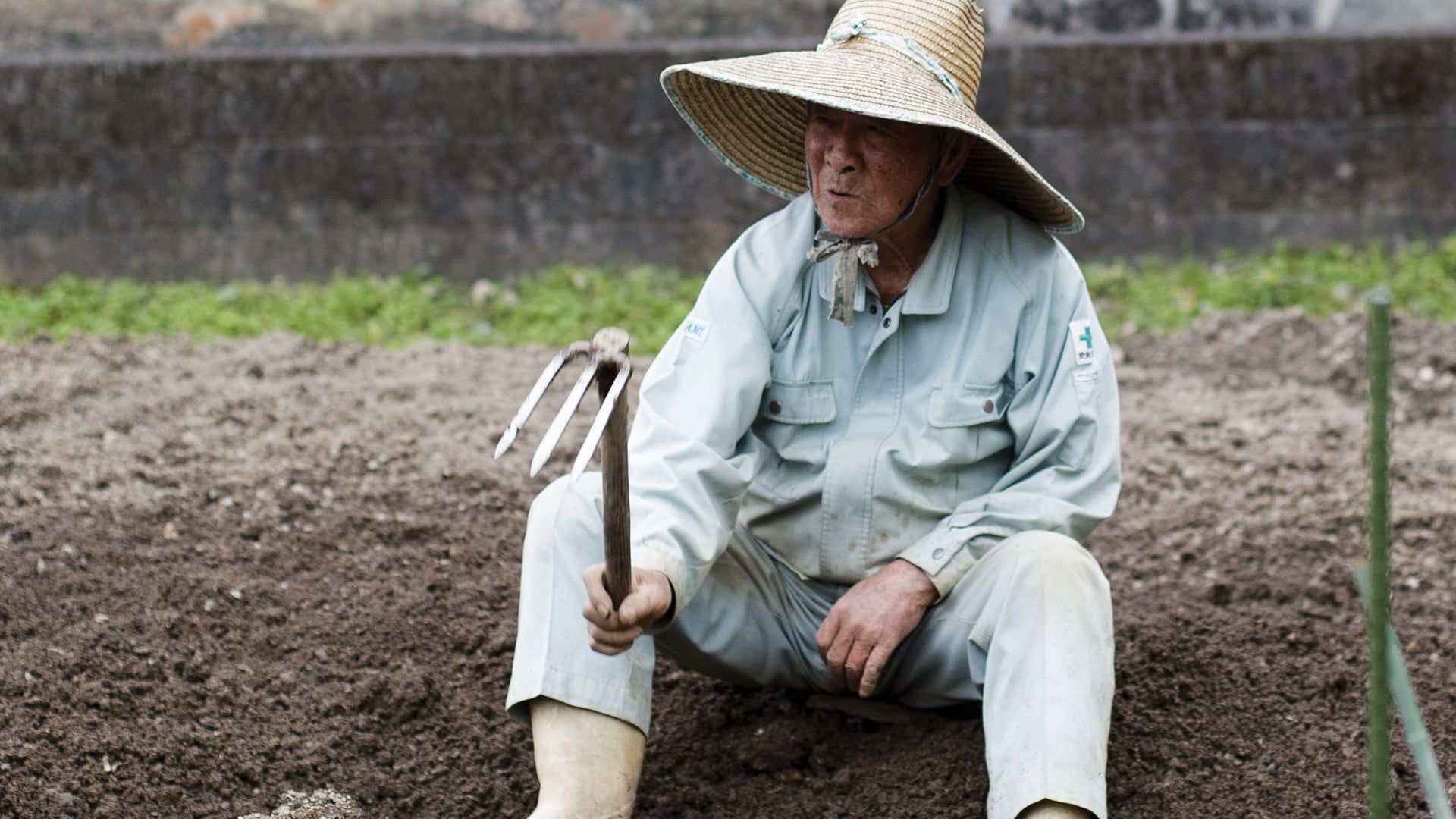 The Longevity Film (2019) - Watch on Hoopla, Kanopy, Tubi, and ...