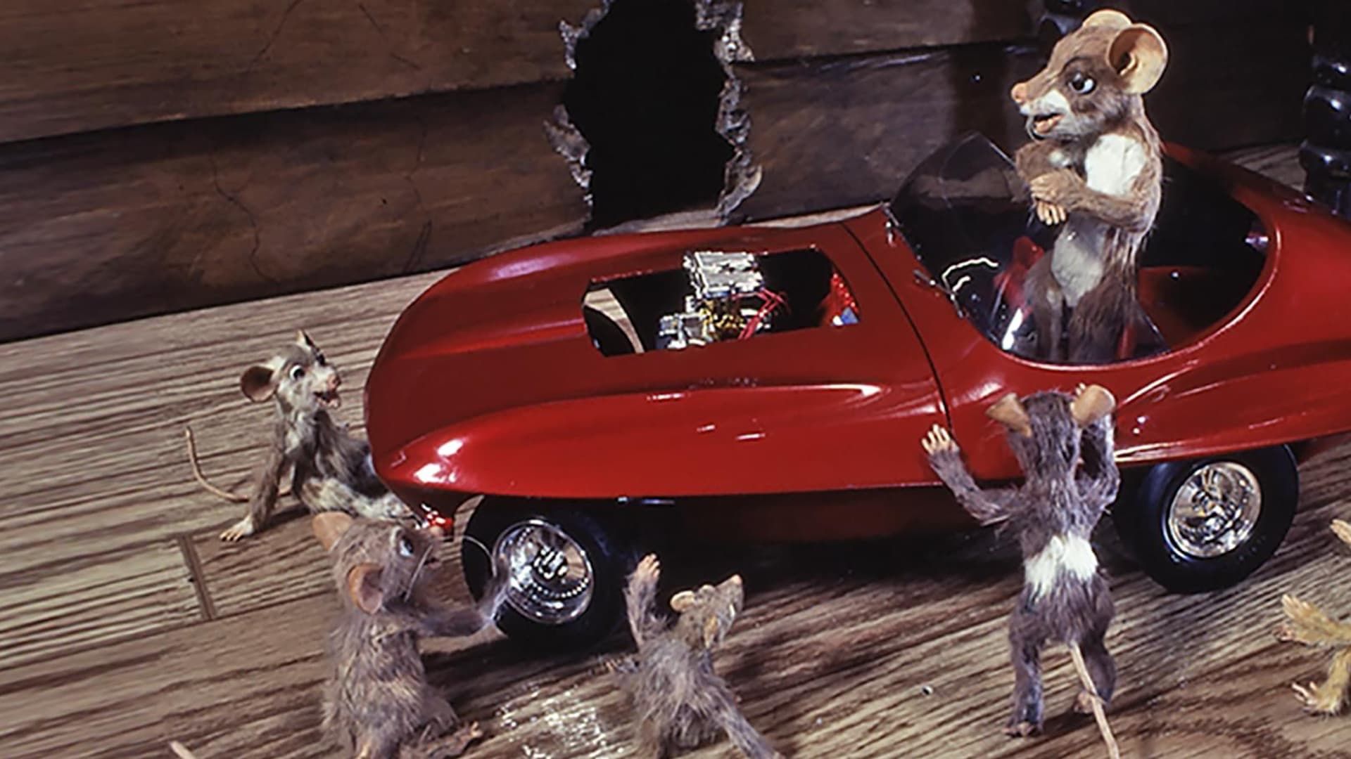 Ralph S. Mouse (1991) - Watch on Tubi or Streaming Online | Reelgood