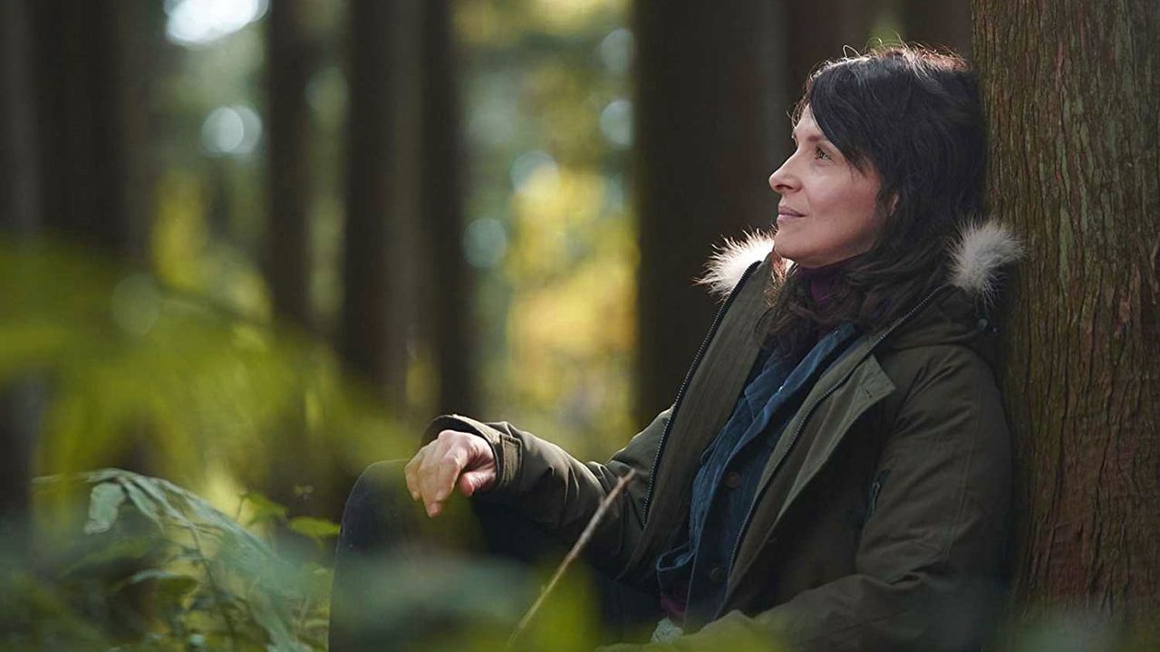 Vision (2018): Where to Watch and Stream Online | Reelgood