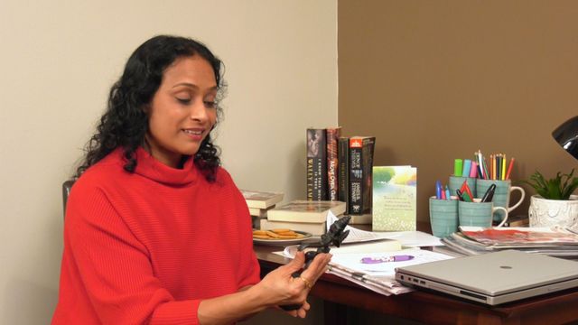 Colors of Truth (2021): Where to Watch and Stream Online | Reelgood