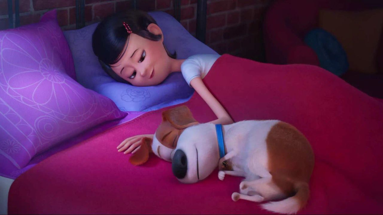 Pets (2020): Where to Watch and Stream Online | Reelgood