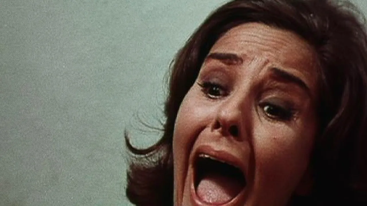 The Cannibal Man (1973): Where to Watch and Stream Online | Reelgood